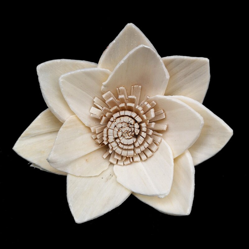 Multi-style Flower Shape No-fire Aromatherapy Ratt... – Vicedeal