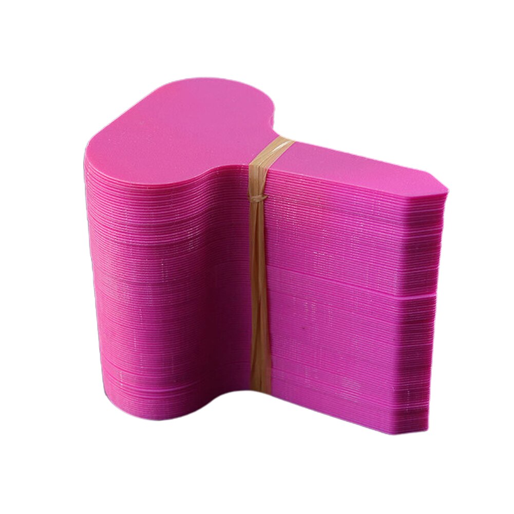 100pcs Succulent PVC Plant Labels Sign Nursery Pot... – Grandado