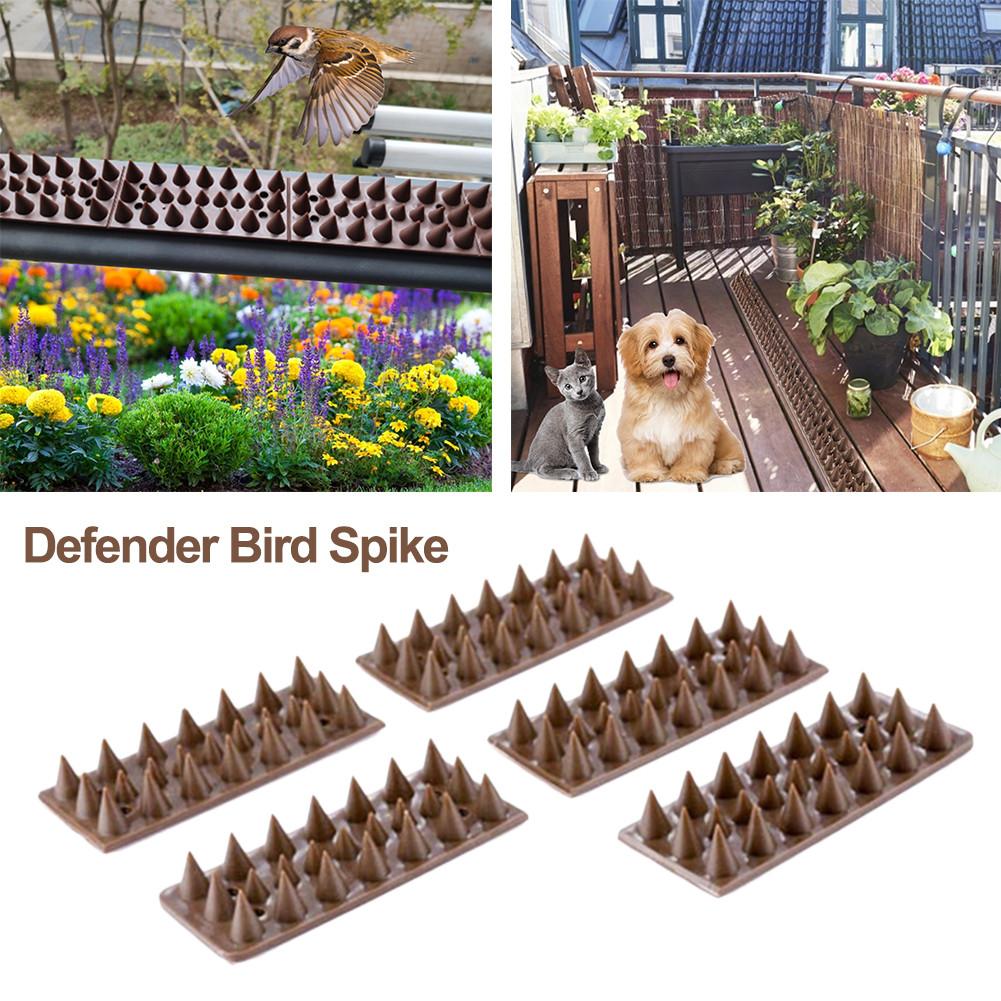 5PCS Harmless Plastic Defender Bird Spike Wild Cat... – Grandado