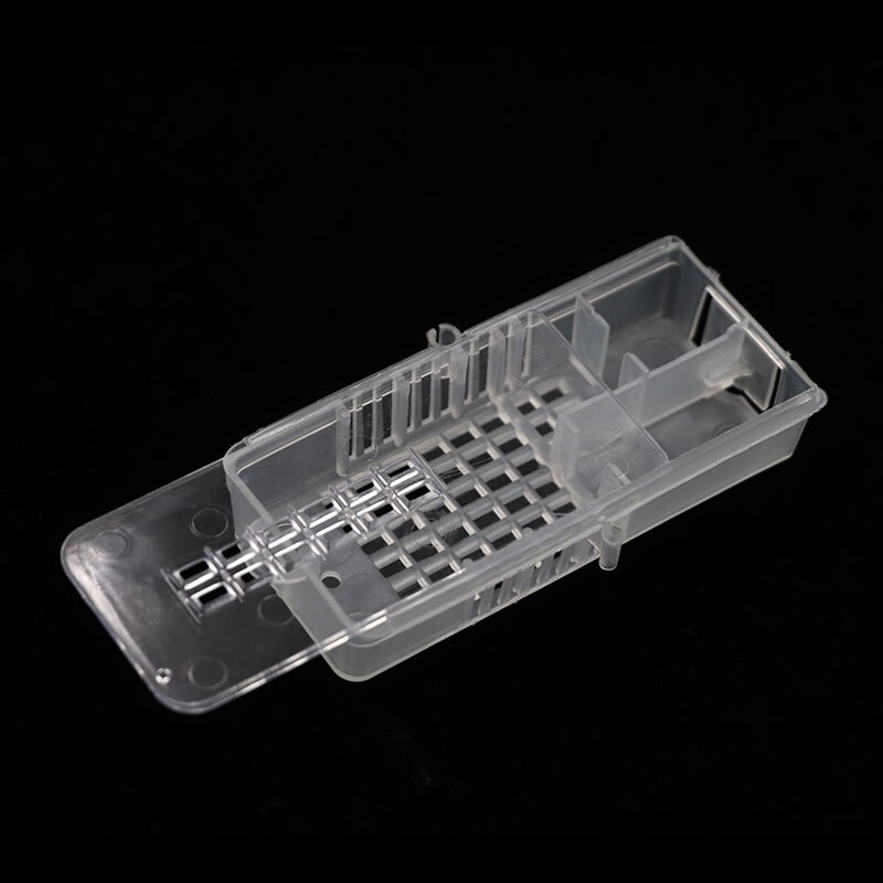 2 pcs Plastic King Cage Queen Rearing Prisoner Kin... – Grandado