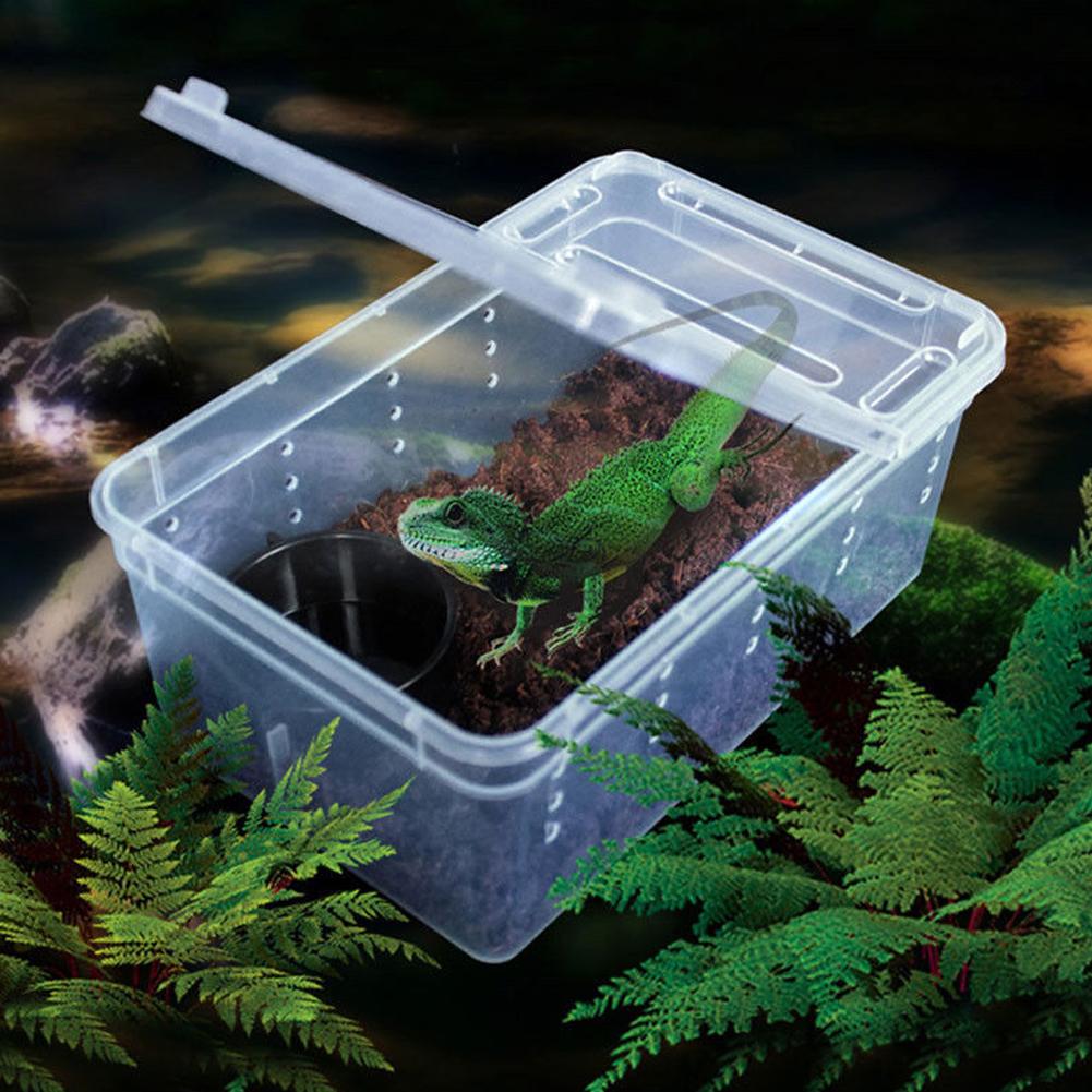 Transparent Feeding Box Reptile Box Amphibian for ... – Vicedeal