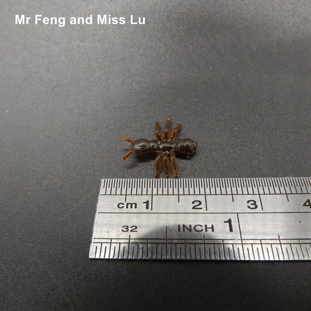 Insects Toy Model Plastic Tiny Ant Toy Children Ed... – Vicedeal