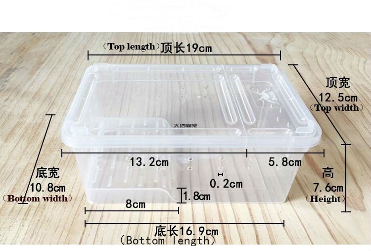 Amphibious Pet crawler Breeding box breeding horne... – Grandado