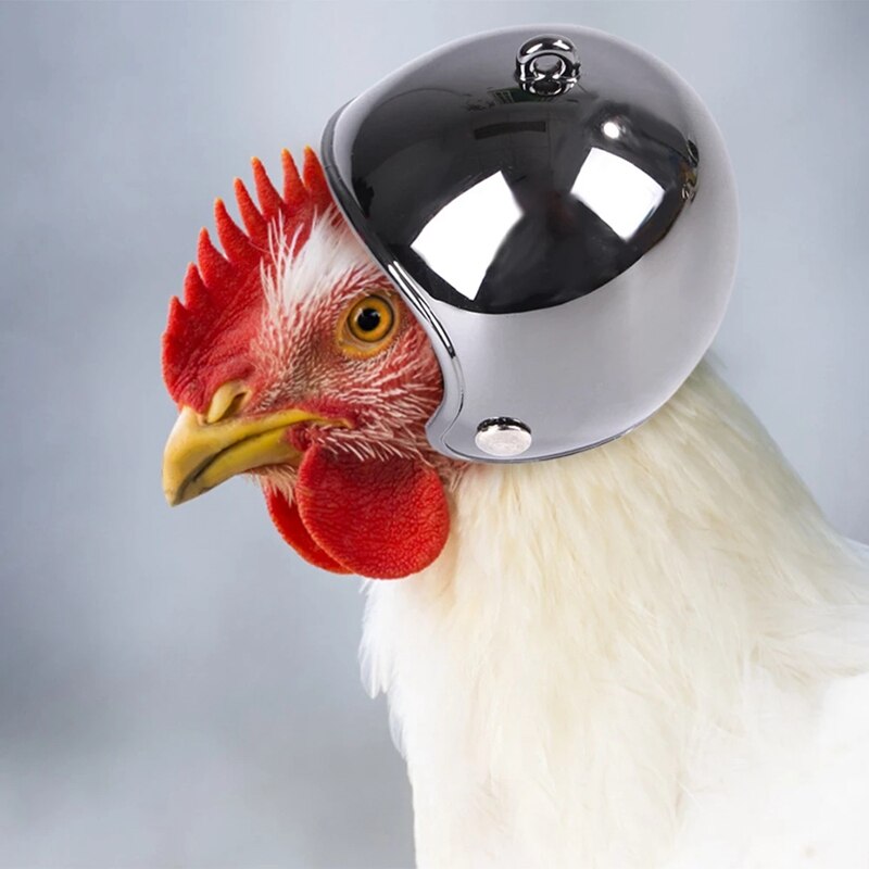 AAAK -Pet Chicken Helmet Small Pet Poultry Bird Du... – Grandado