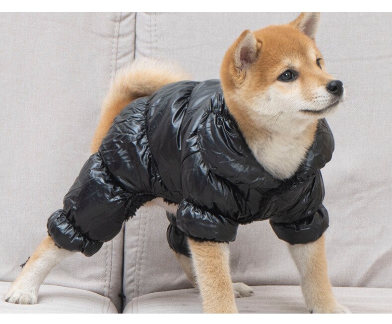 Dog Clothes Winter Thick Warm Pet Dog Down Jacket ... – Vicedeal