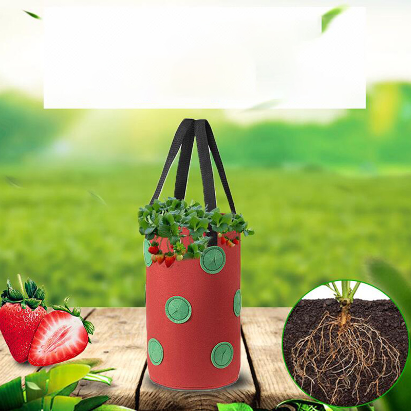 3 Gal 12 Gaten Aardbei Groeien Pot Zakken Planten ... – Vicedeal