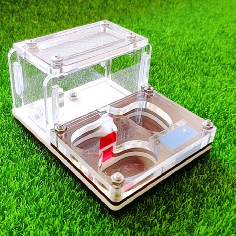 Mini Ant Farm Acrylic Ant Nest Small Pet Feeding B... – Grandado