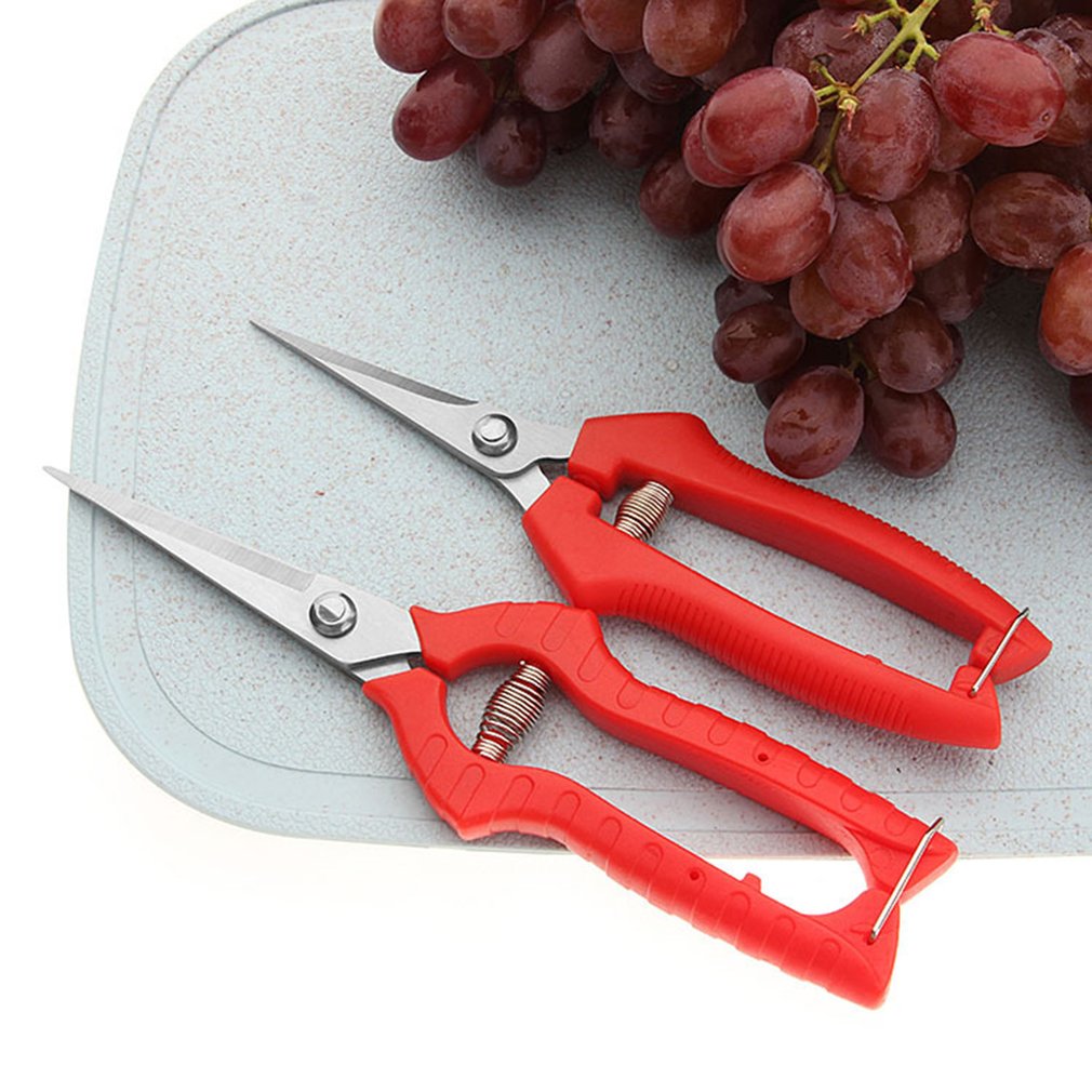Gardening Pruning Scissors Fruit Bud Scissors Frui... – Grandado