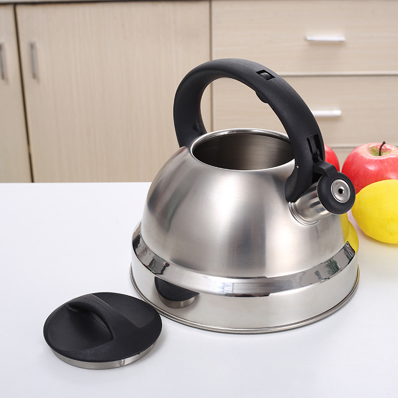 Stainless Steel Kettle Home Sound Pot Flat Bottom ... – Grandado