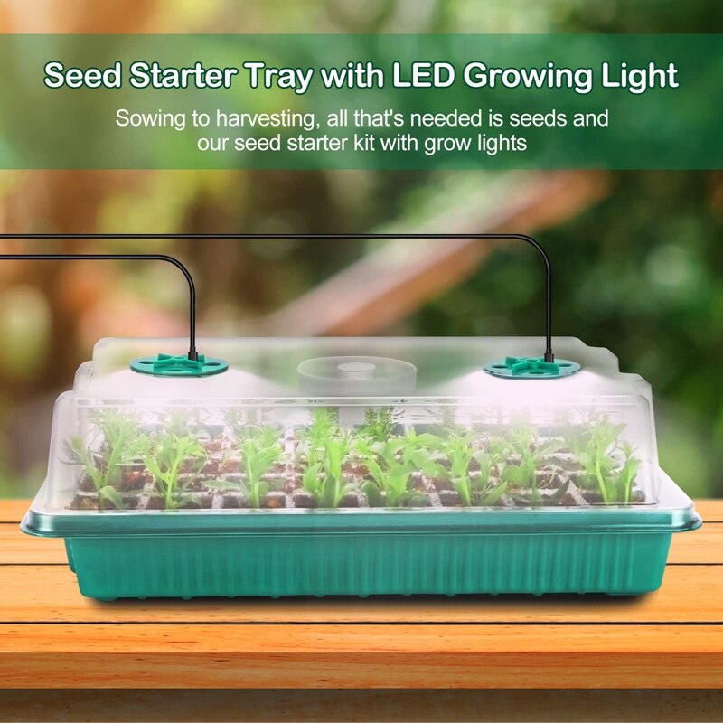 2-Pack Seed Starter Kit Seedling Tray With Grow Li... – Grandado