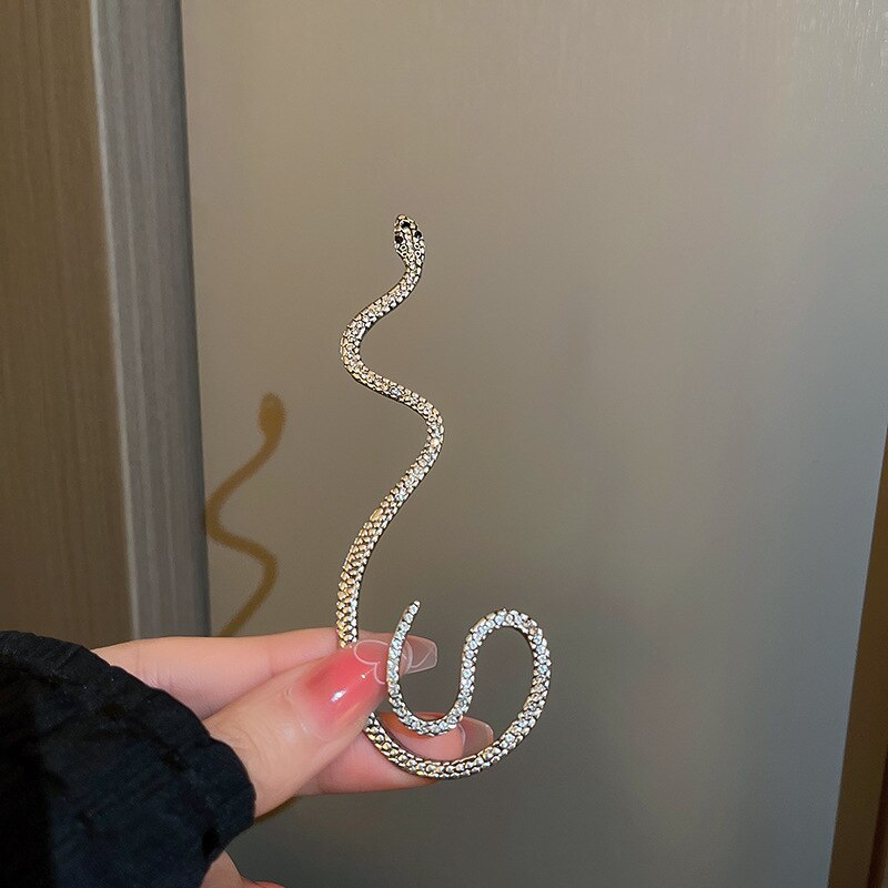 Snake Type Ear Bone Clip Earrings for Women Punk E... – Vicedeal