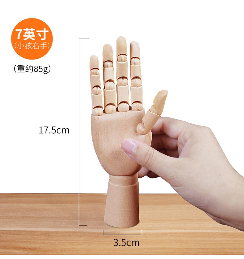 Puppet joint hand model puppet human body model sk... – Vicedeal