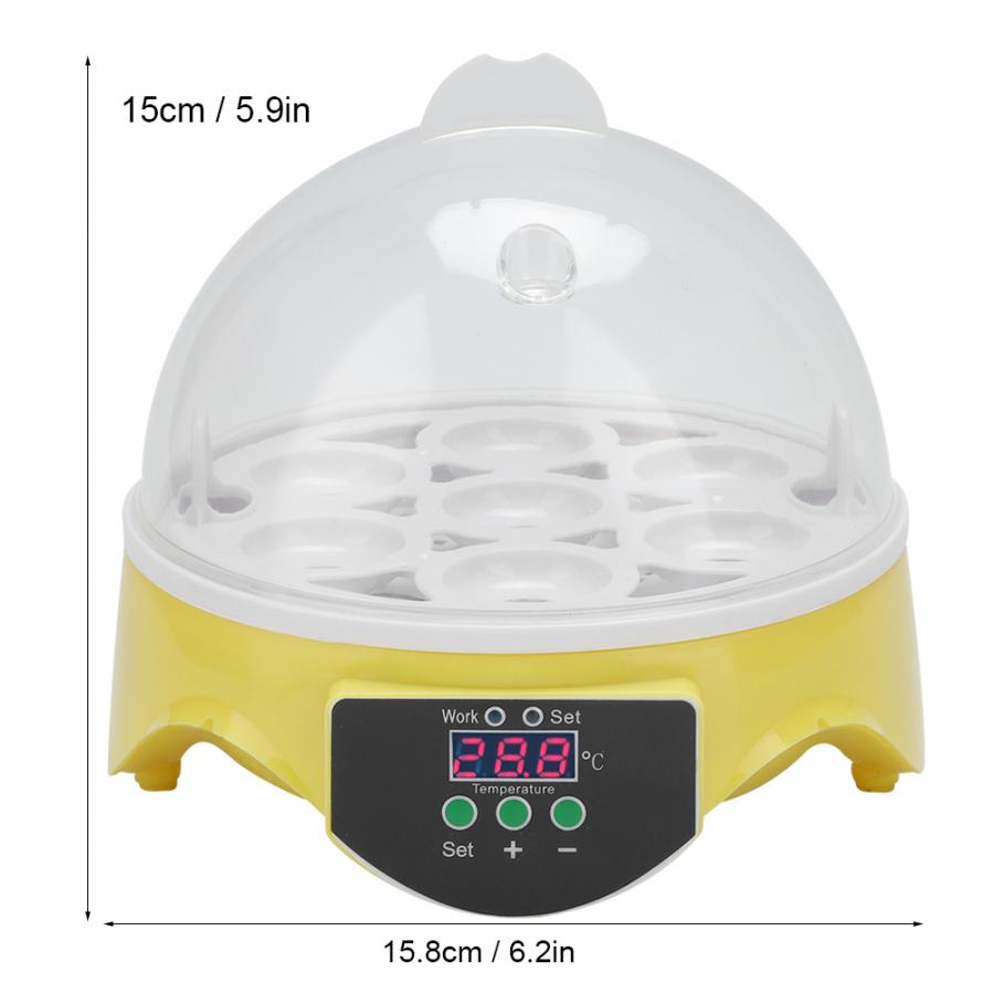 Mini Digital 7 Eggs Incubator Automatic Temperatur... – Grandado