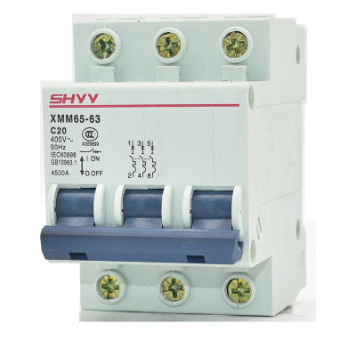 Mini Circuit Breaker DZ47 1p 2p 3p 4p 1A-63A Haus ... – Vicedeal