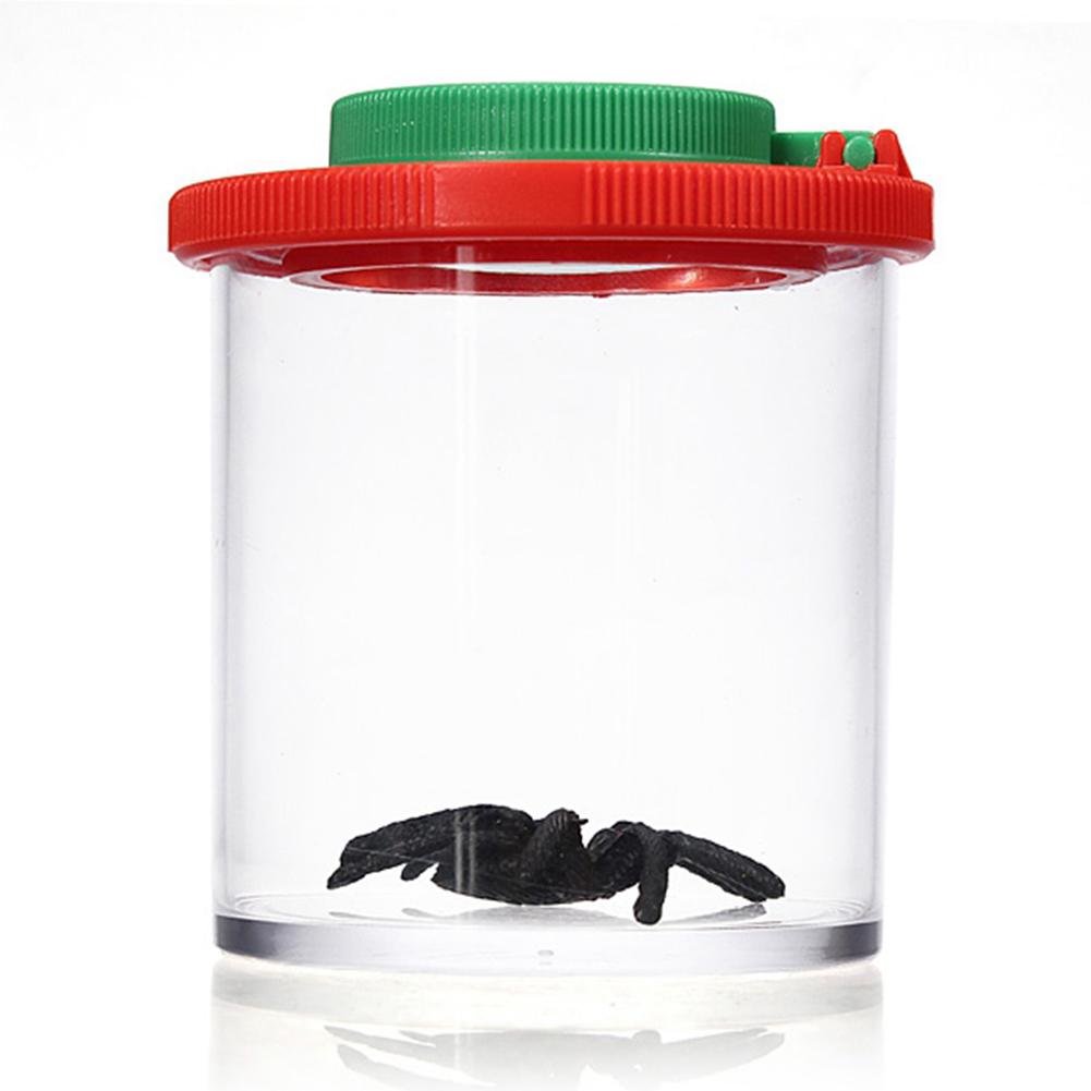 4X Two Lens Insect Viewer Locket Box Magnifier B L... – Grandado