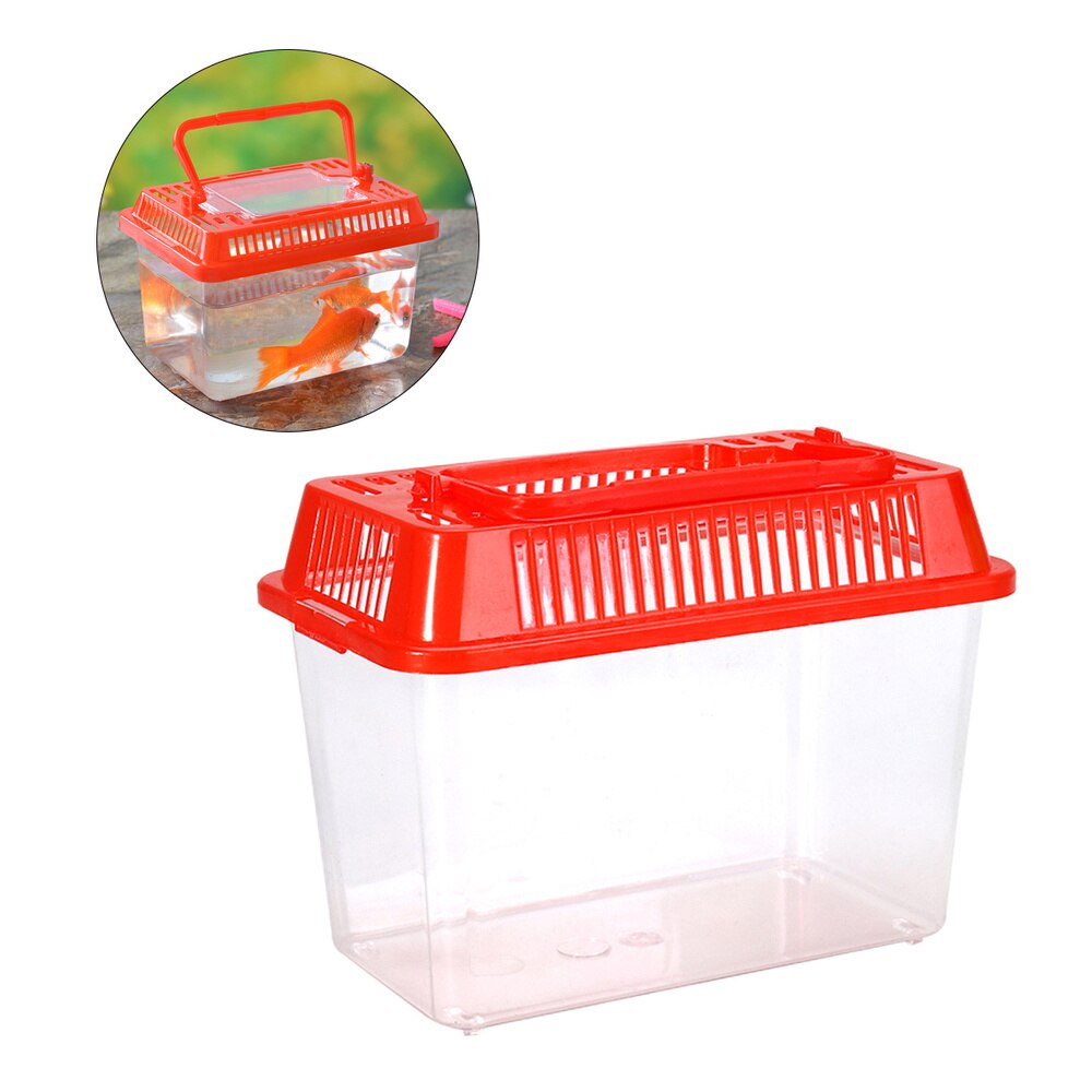 Mini Fish Tank Handheld Fish Tank for Turtle and P... – Grandado