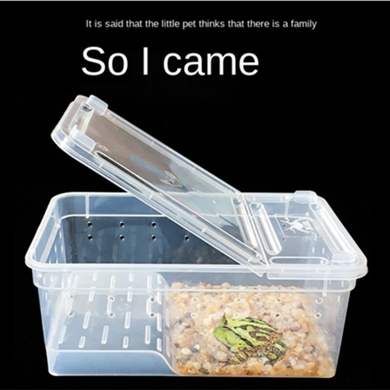 Reptile feeding box amphibious feeding box palace ... – Vicedeal