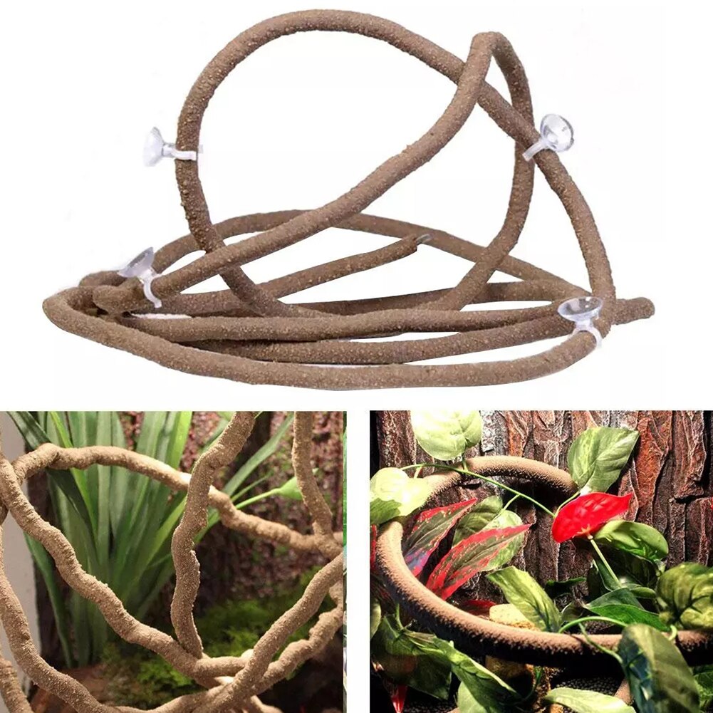 Small Animal Terrarium Branch Pet Habitat Decor Si... – Grandado