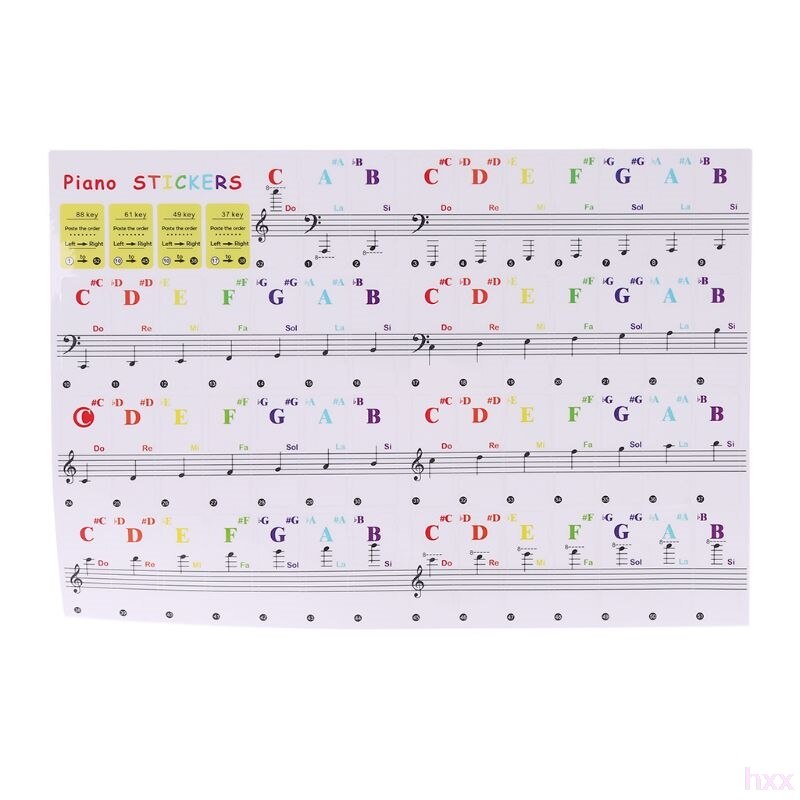 Piano Keyboard Stickers Music Note Colorful For 37... – Grandado