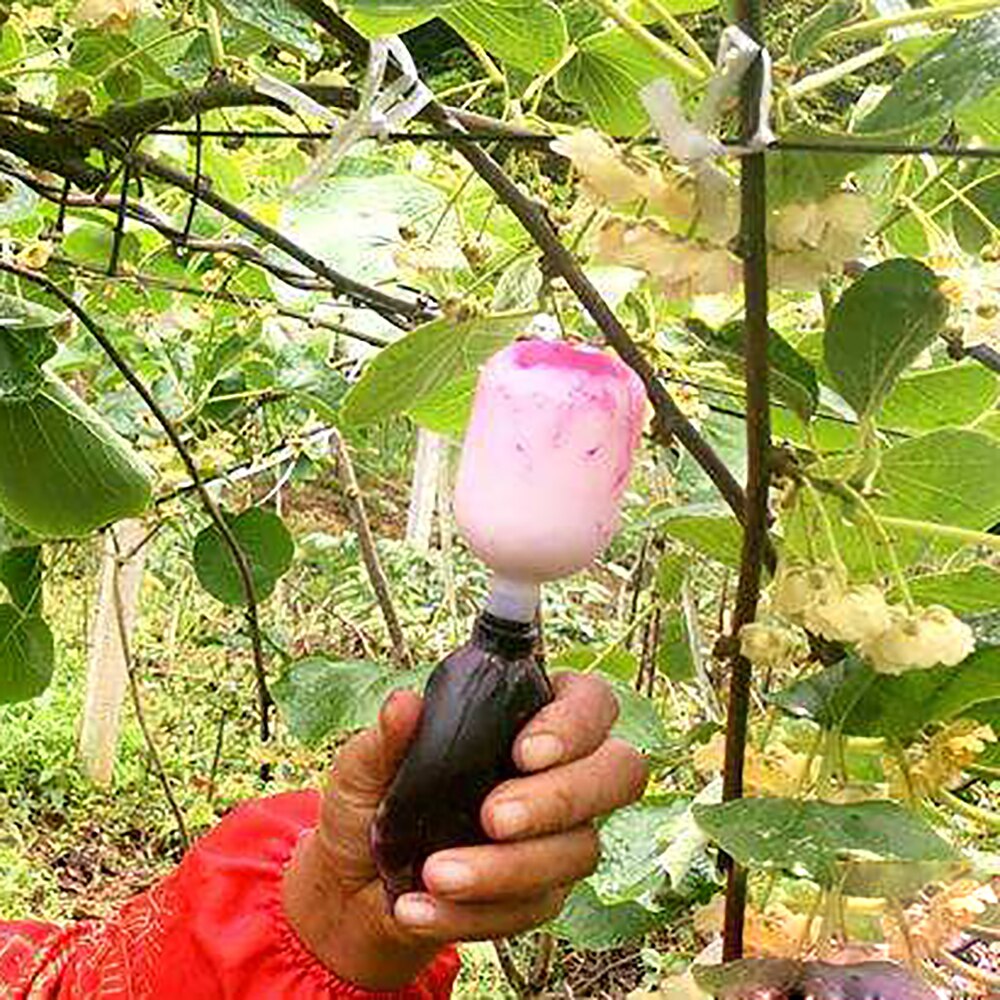 Hand-Pollination Tool Melon Fruit Vegetable Flower... – Grandado