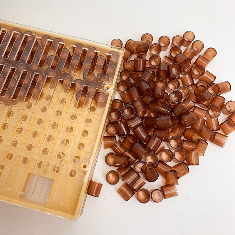 1Set Queen Bee Rearing Cupkit Box Queen Rearing Sy... – Vicedeal