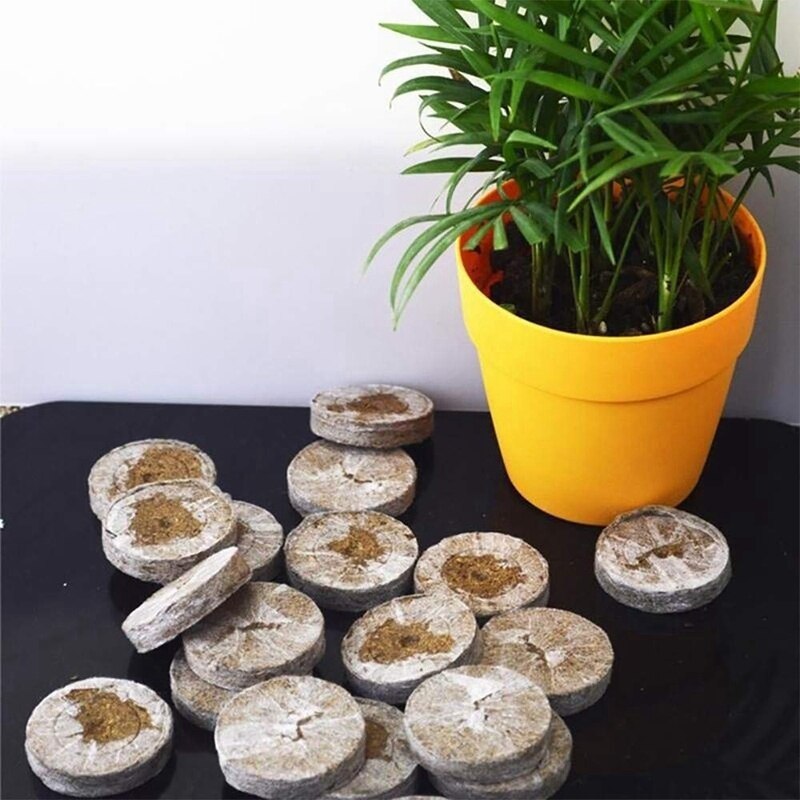 50Pcs 3cm Transplanting Plugs Soil Block Garden St... – Grandado