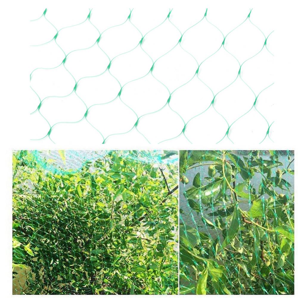 Protection Net 2x5/2x10/4x10m Pond Garden Orchard ... – Grandado