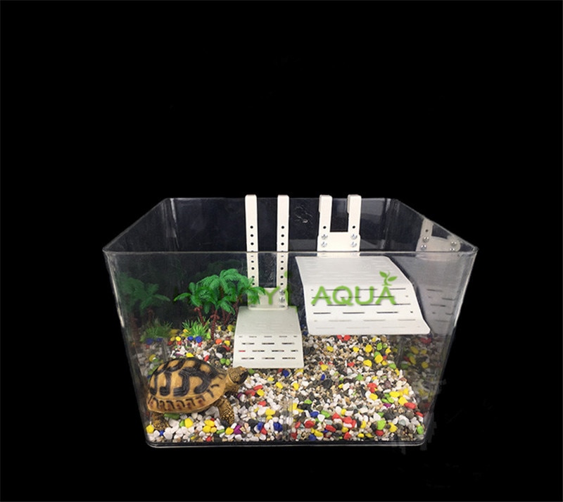 Turtle Drying Platform Tortoise Drying Platform Ho Grandado