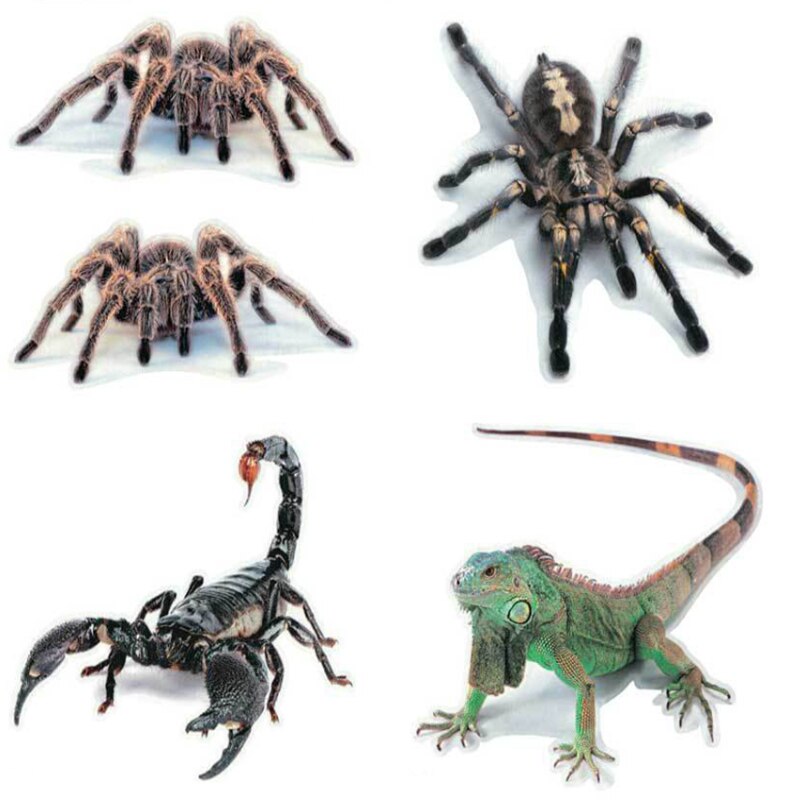 1PC 3D Animal Wall Sticker Spider Gecko Scorpions ... – Grandado