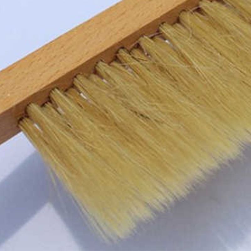 Protable Double Row Beekeeping Sweeping Bristle Be... – Grandado