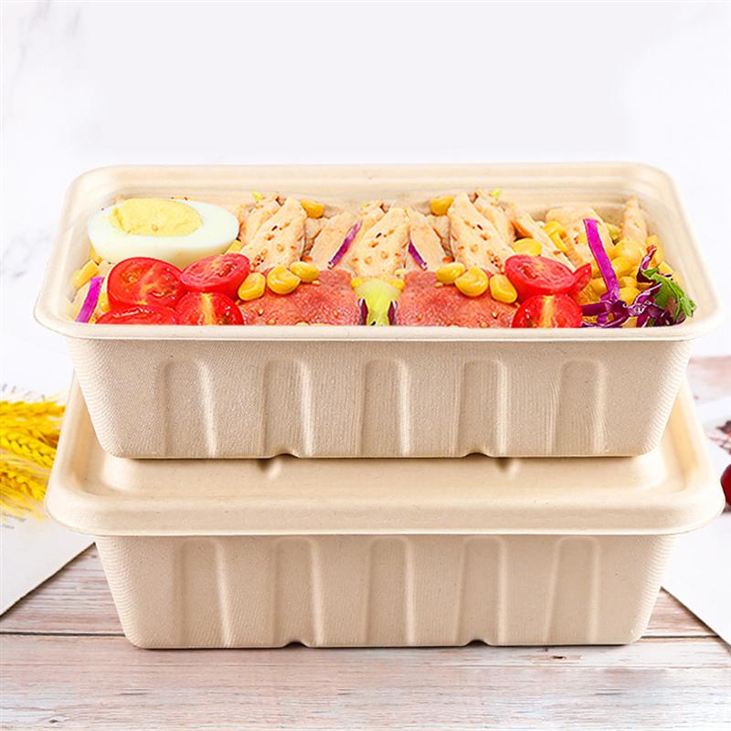 10Pcs 2500ml Degradable Pulp Box Bread Packing Box... – Grandado