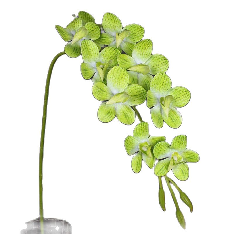 One Artificial Latex Butterfly Orchid Plant 9 Head... – Grandado
