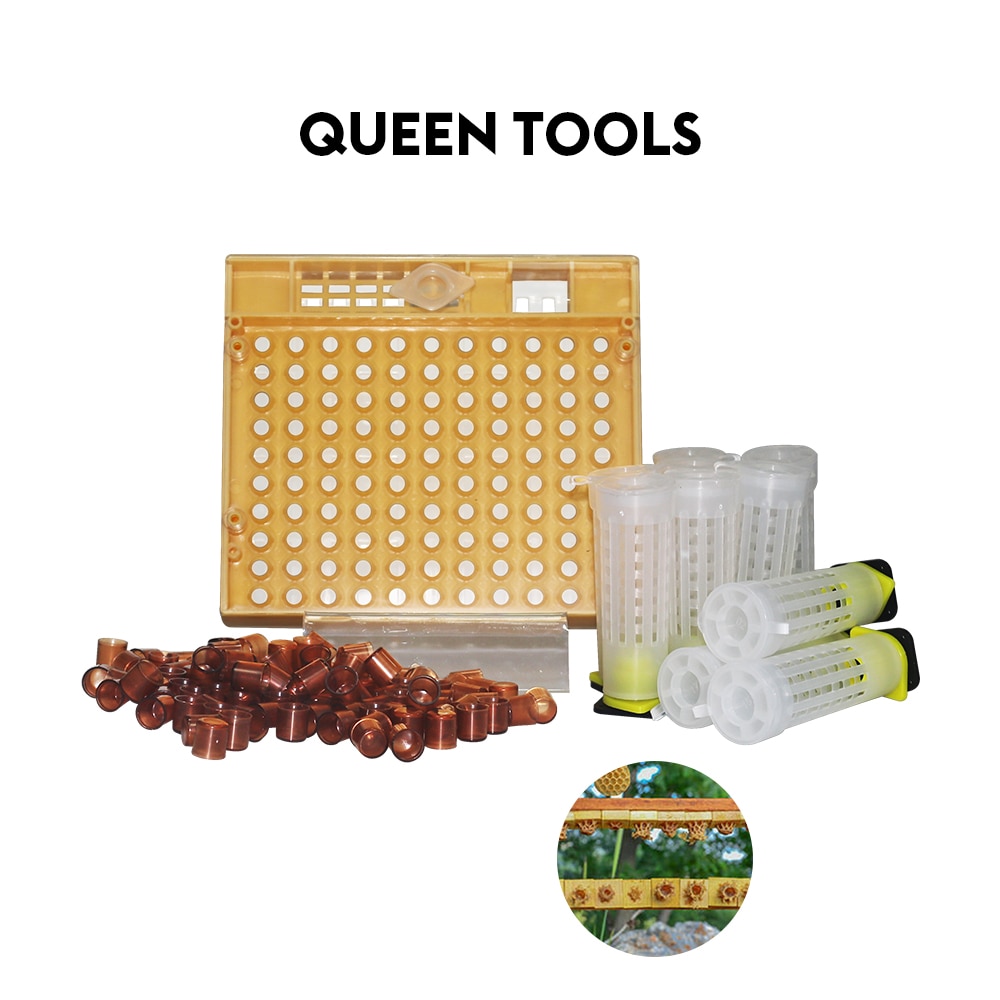 Nicot Bee Queen Rearing Kit Goods Tools For Beekee... – Grandado