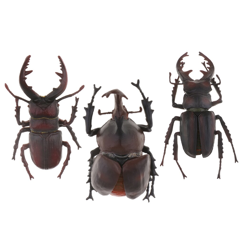 Learning Resource Reallistic Insects Models Teachi... – Vicedeal