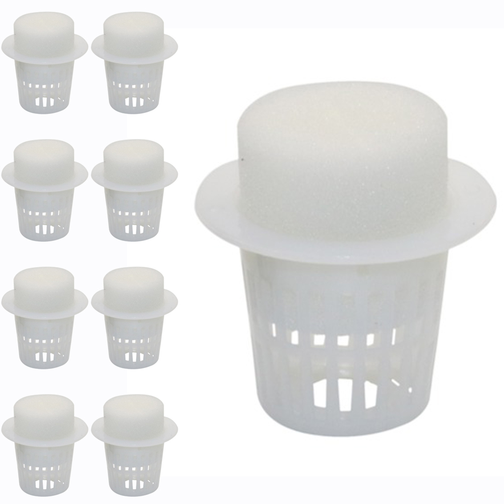 50PCS Plant Net Cup & 50PCS Cylinders Sponge For H... – Grandado