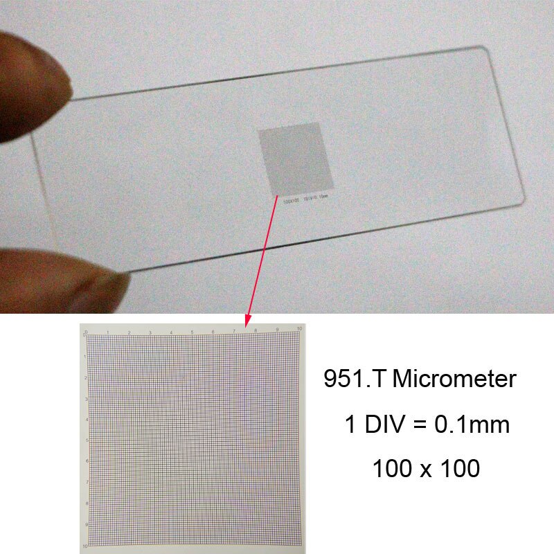 Microscope Stage Micrometer Slide Optical Glass Me... – Vicedeal