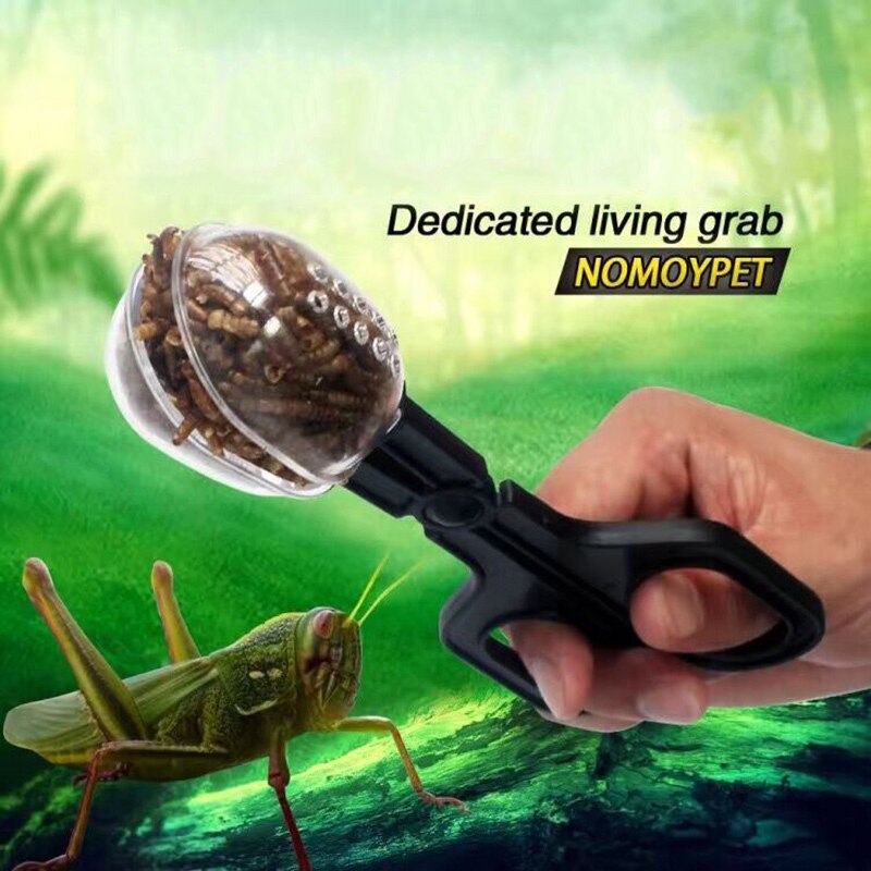 Reptile Terrarium Spider Cricket Clamp Aquarium Li... – Grandado