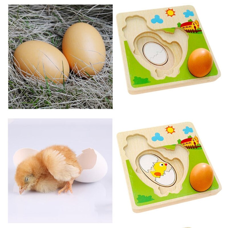 Wood Puzzle Chick Grow Hens Laying Eggs Process Ji... – Vicedeal