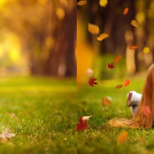 105 Falling Leaves Photo Overlays, Autumn overlays... – Grandado