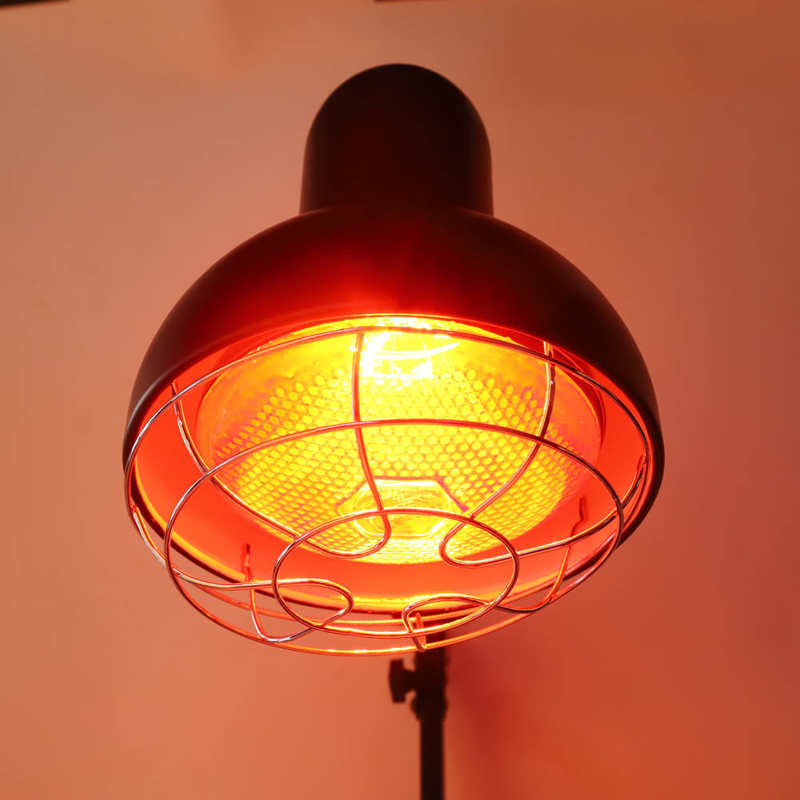 Infrared Lamp Therapy Red Light Heating Health Car... – Grandado