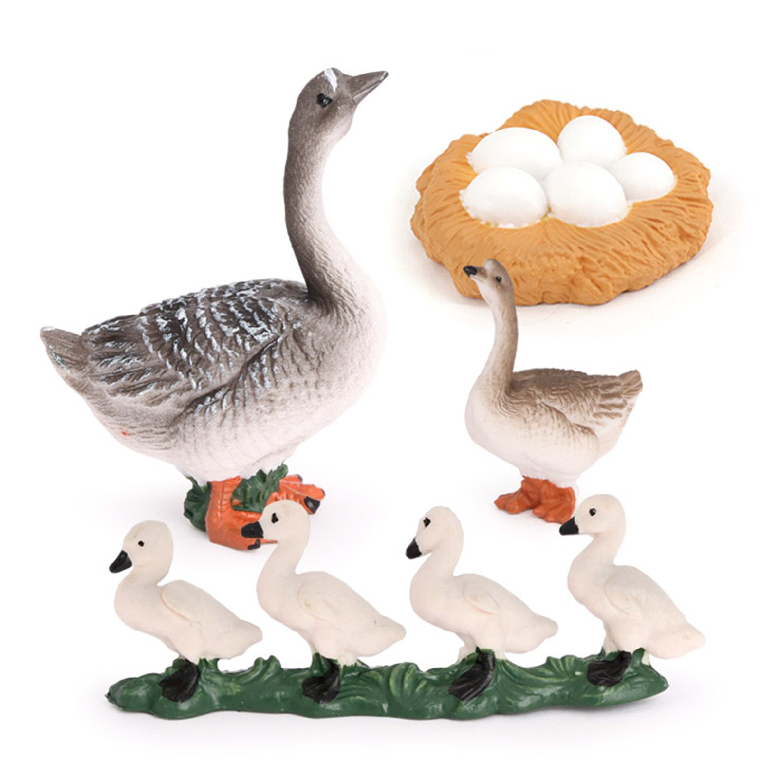 Nature Growth Cycle Model Toys Life Cycle of Goose... – Grandado