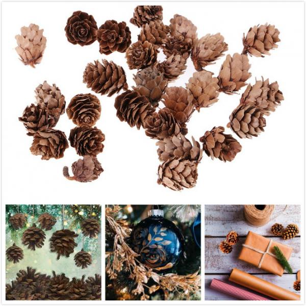 60 Pieces Natural Pine Cones for Christmas Fall Th... – Grandado