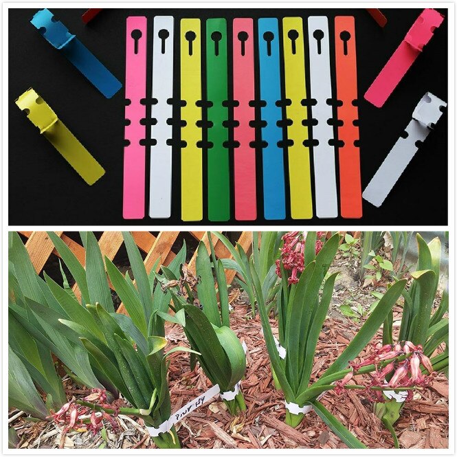 120Pcs Plastic Plant Markers Waterproof Nursery Pl... – Grandado