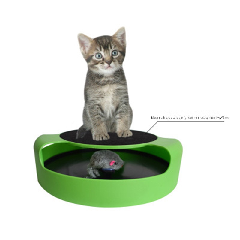 2 In1 Cat Toys Interactive With Running Mice And S... – Grandado