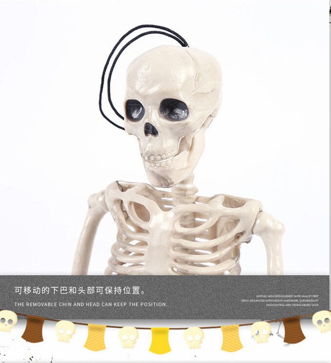 Plastic Lifelike Popular Full Life Size Human Skel... – Grandado