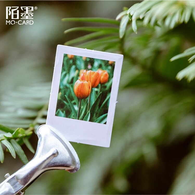 46pcs/lot Tulip Flowers Season Stationery Stickers... – Grandado