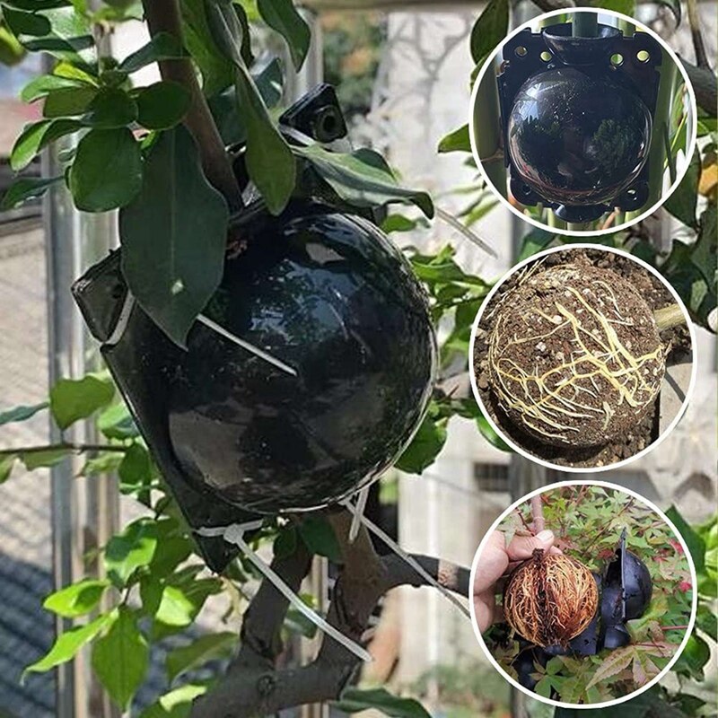 Plant Rooting Ball Suitable Branch,High Pressure P... – Grandado