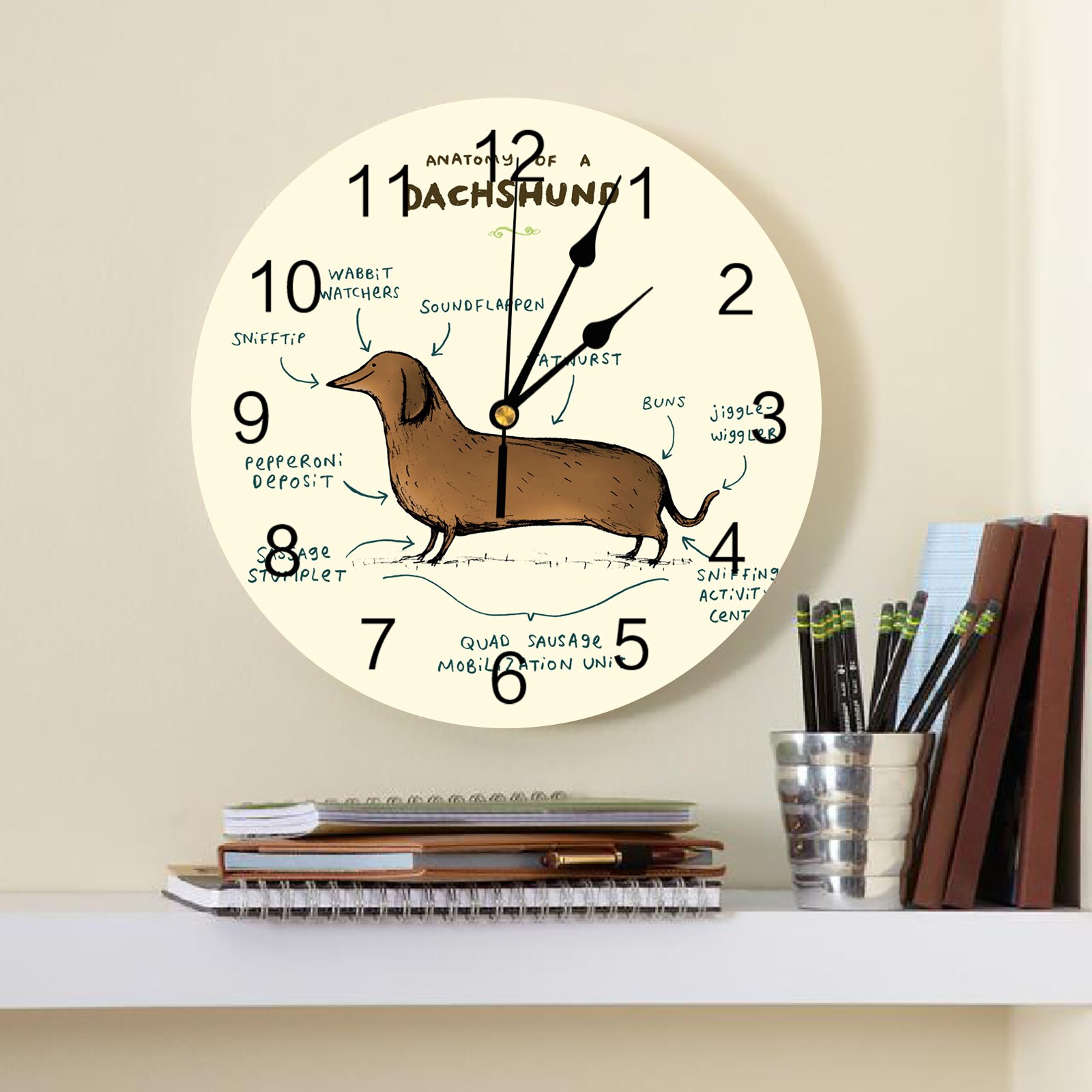 Anatomy of A Dachshund PVC Wall Clock Home Decor W... – Grandado