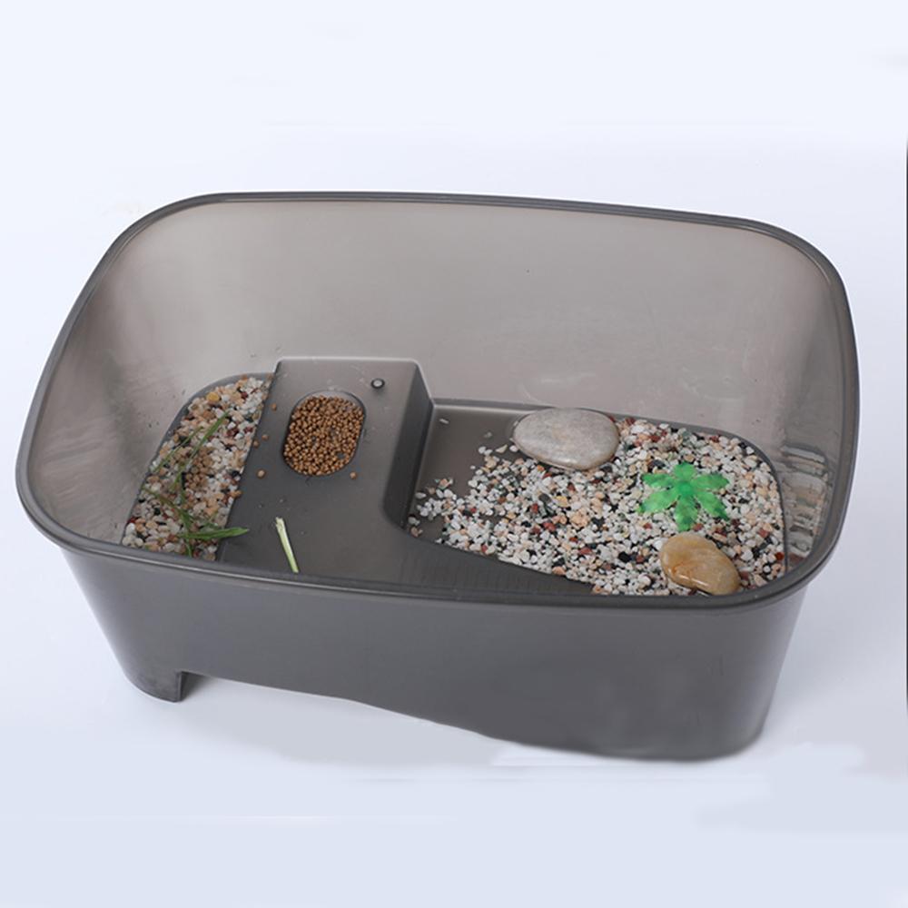 Reptile Turtles Tortoise Box Tank Reptile Vivarium... – Grandado