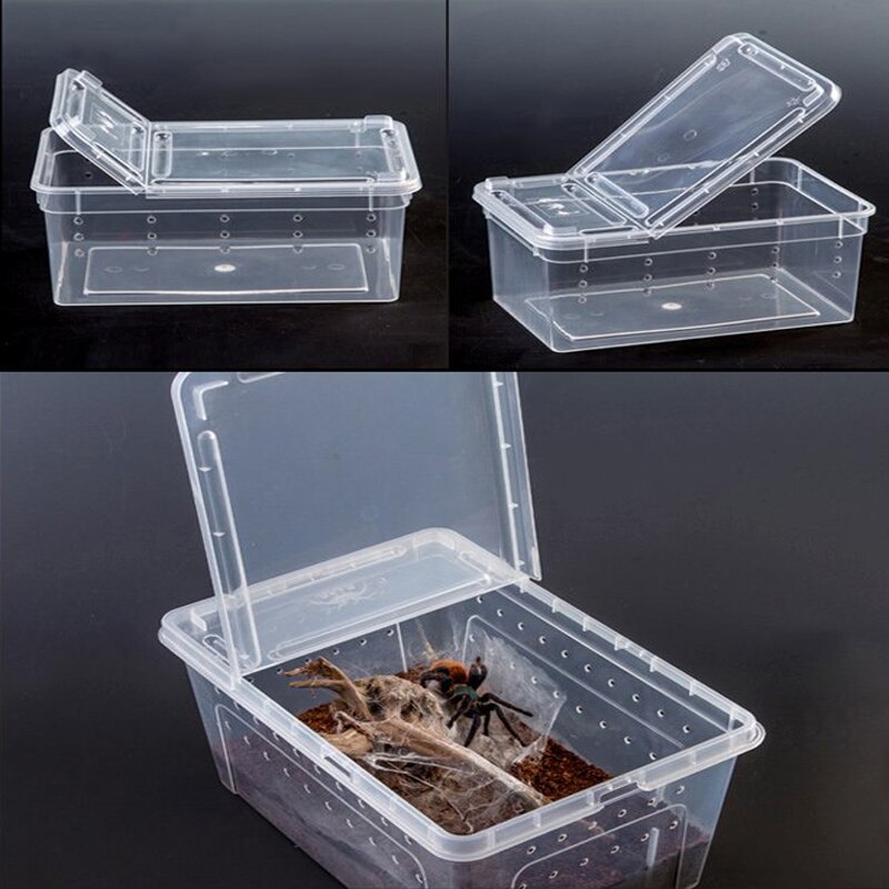 Terrarium for reptiles Transparent Plastic Box Ins... – Grandado
